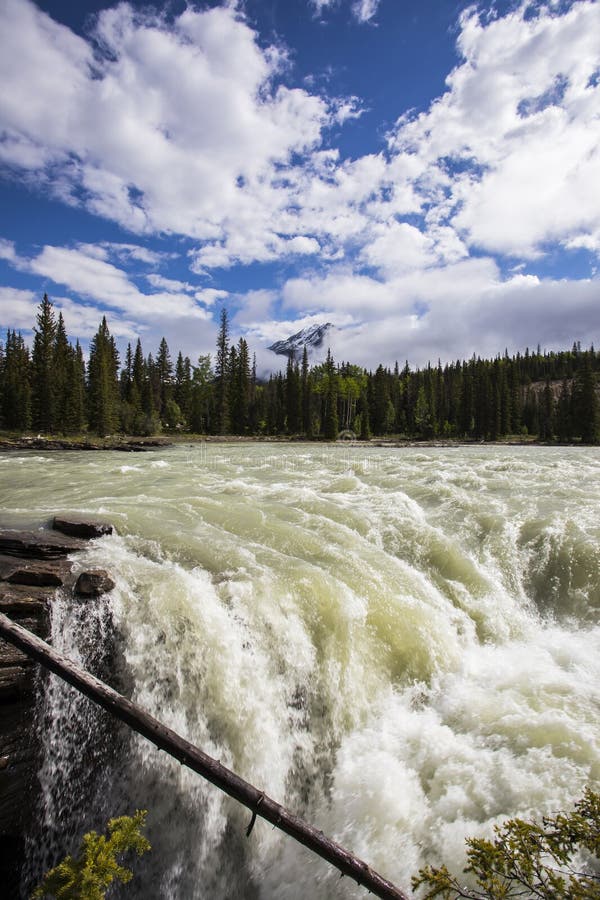 Summer in Athabasca Falls, Jasper National Park, Canada Stock Image ...