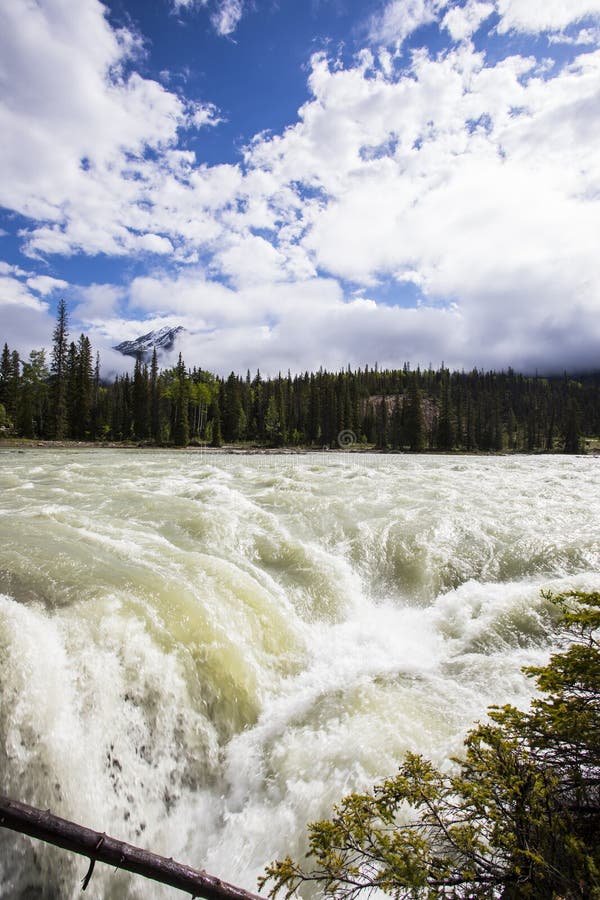 Summer in Athabasca Falls, Jasper National Park, Canada Stock Photo ...