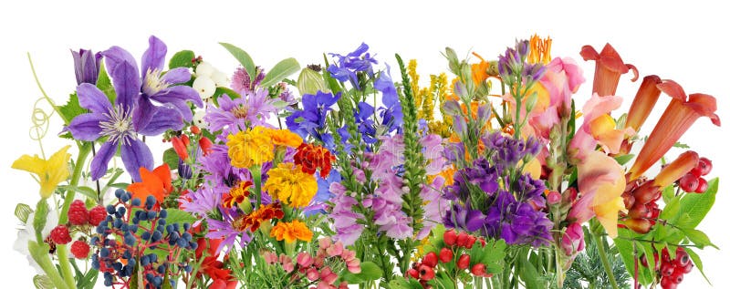 41+ August border Free Stock Photos - StockFreeImages