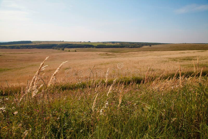 Summer or Autumn/fall Meadow Stock Image - Image of abstract, hill ...