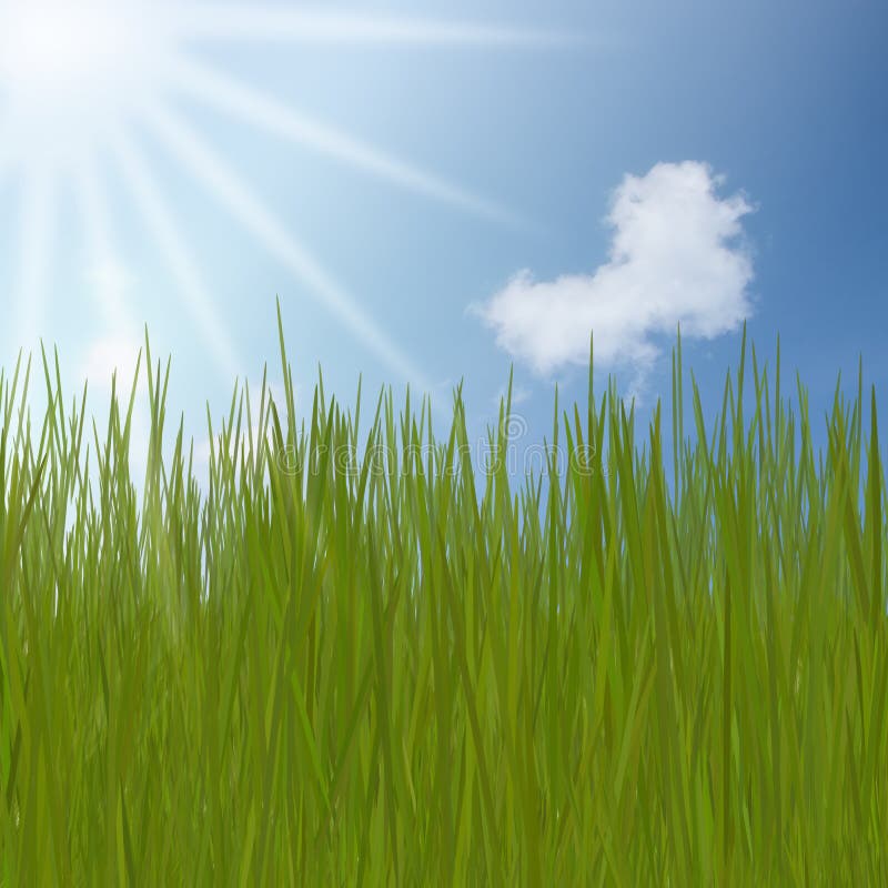 Summer Background with Grass Against Sunny Sky Stock Photo - Image of ...