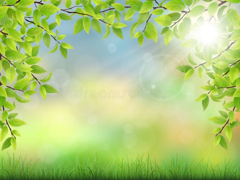 Summer Background with Green Leaves Stock Vector - Illustration of ...