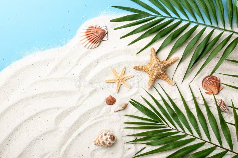 Summer Background with Green Palm Leaf, Starfish, and Shells. Beach ...