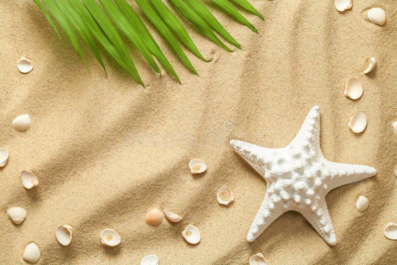 Summer Background with Green Palm Leaf, Starfish and Shells Stock Image ...