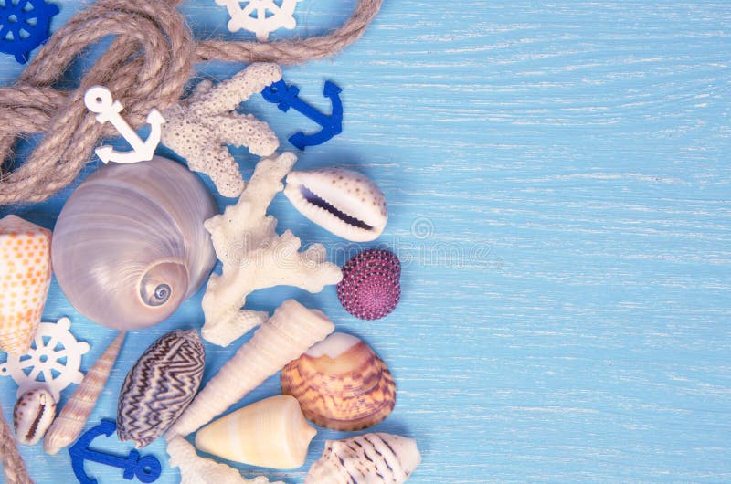 Summer Background Made of Seashells and Maritime Objects Stock Photo ...