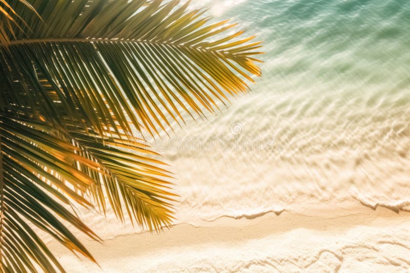 Summer Background. Palm Leaves on Wave Beach. Generative Ai Stock ...