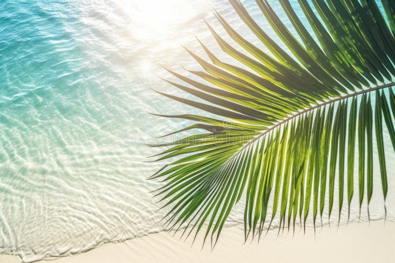 Summer Background. Palm Leaves on Wave Beach. Generative Ai Stock ...