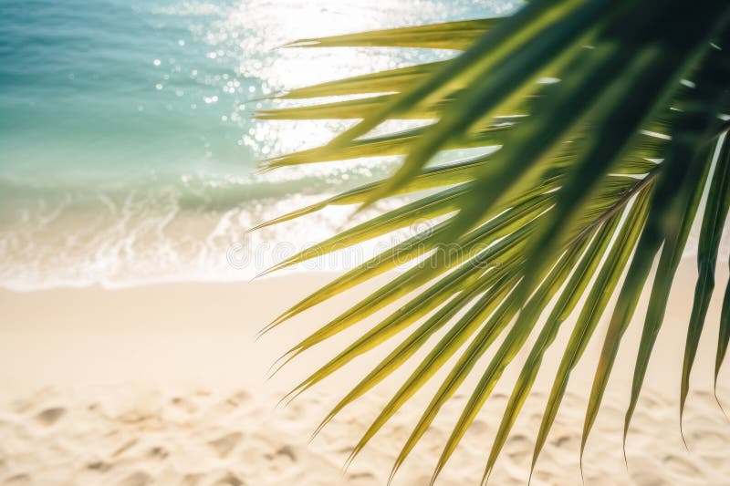 Summer Background. Palm Leaves on Wave Beach. Generative Ai Stock Photo ...