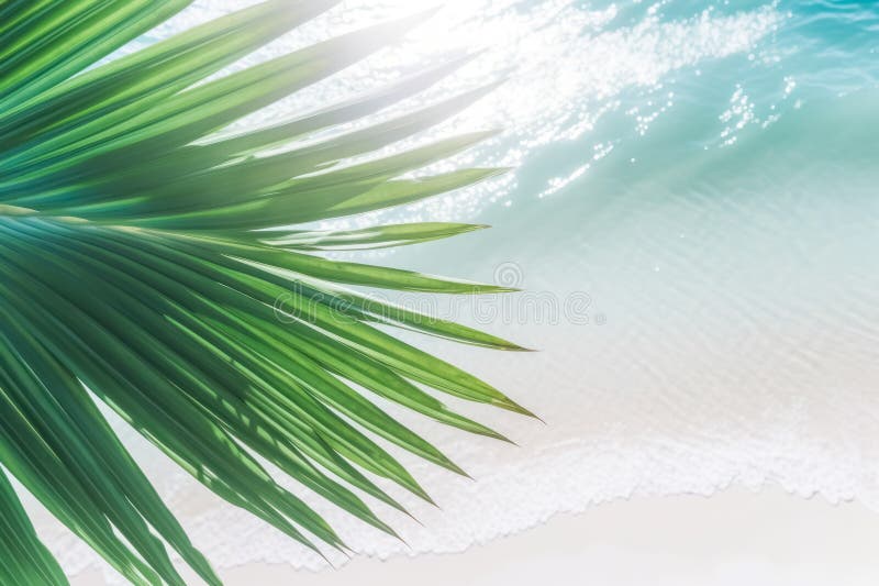 Summer Background. Palm Leaves on Wave Beach. Generative Ai Stock ...