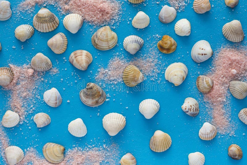 Summer Background, Sea Shells on Blue Surface with Sea Salt, Top View ...