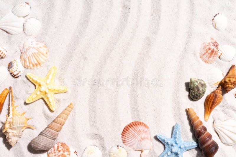 Summer Background with Seashells and Conch Shells on the Sand Stock ...