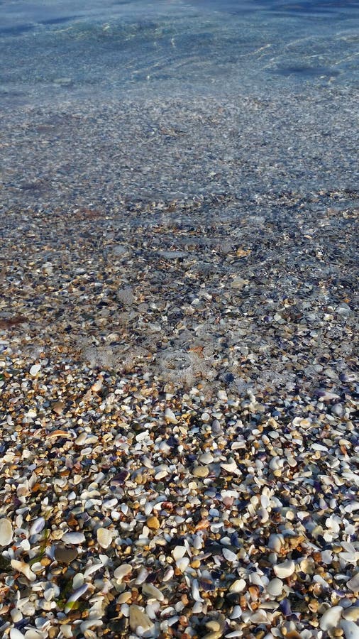 Summer Background with a Smooth Transition from Small Shells To ...