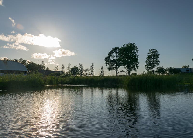 Summer Backlight Landscape, Dark Tree Silhouettes in the Background ...