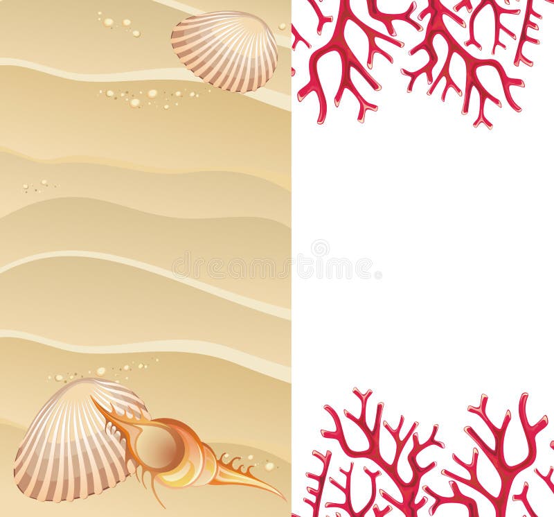 Summer Banner with Seashells Stock Vector - Illustration of resort ...