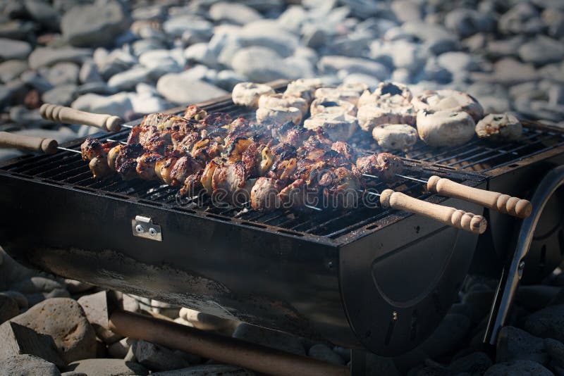 Summer barbecue stock image. Image of beef, fire, healthy - 73745665