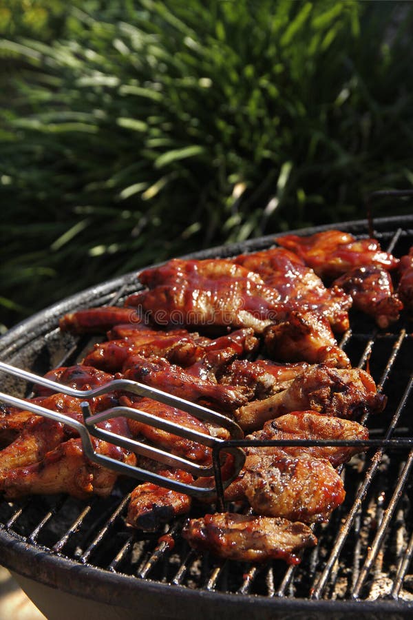 Summer Barbecue Grilling stock photo. Image of roasted - 25440344
