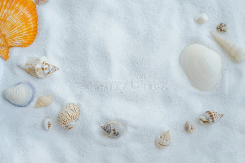 Summer Beach Concept. Sand and Sea Shells Beach Theme White Background ...