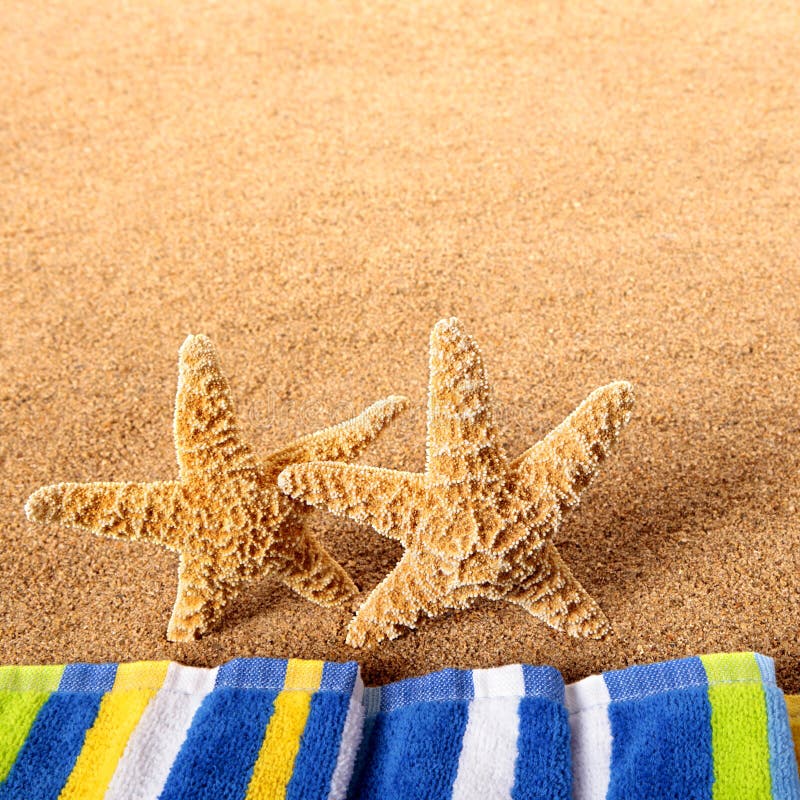 Summer Beach Sand Starfish Standing Border Square Stock Photo - Image ...