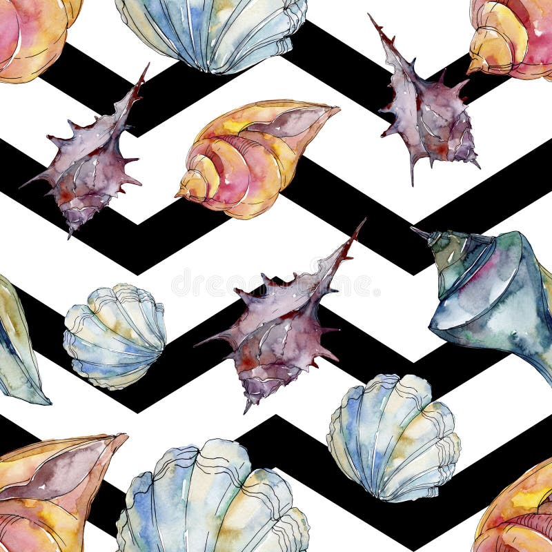 Seashell on Watercolor stock image. Image of painted, background - 4781505