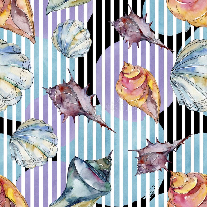 Seashell on Tropical Beach with Diner in Background and Blue Sky Stock ...