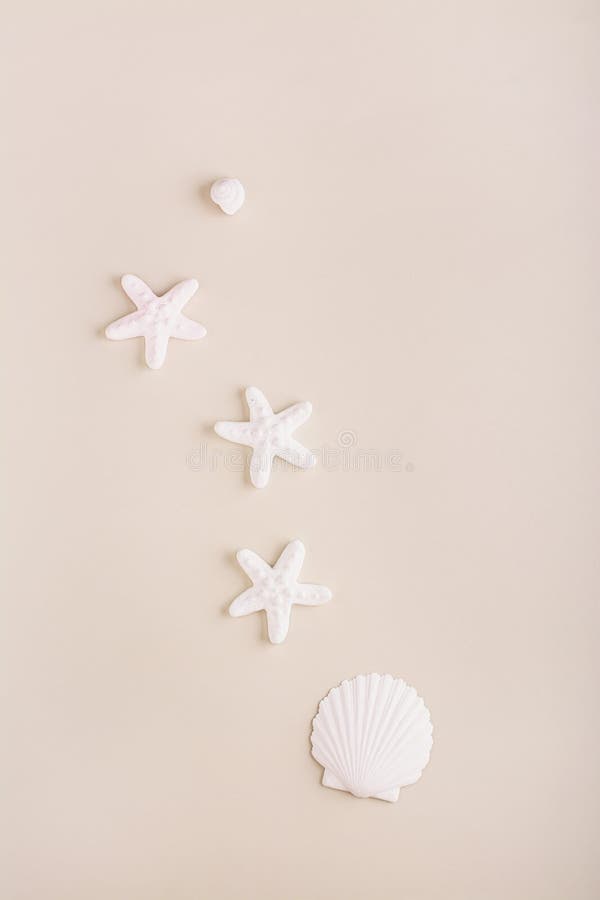 Summer Beach Vacation Concept White Starfish and Shells on Pastel ...