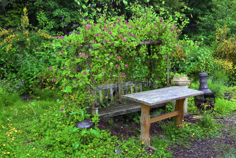 Summer bench stock photo. Image of natural, house, furniture - 57656860