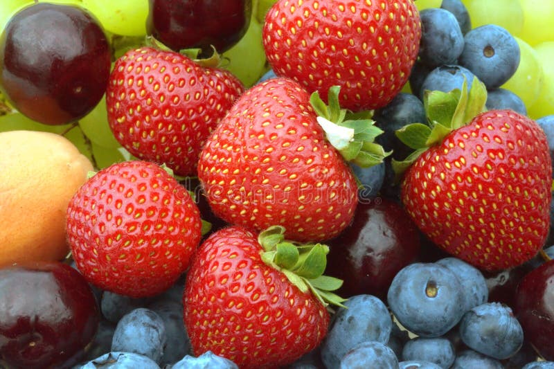 Summer Berries stock image. Image of season, seasonal - 3511041