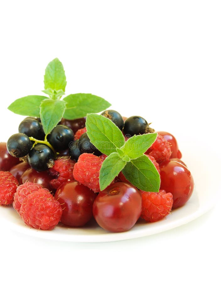 Summer berries stock image. Image of fruit, isolated - 20224589