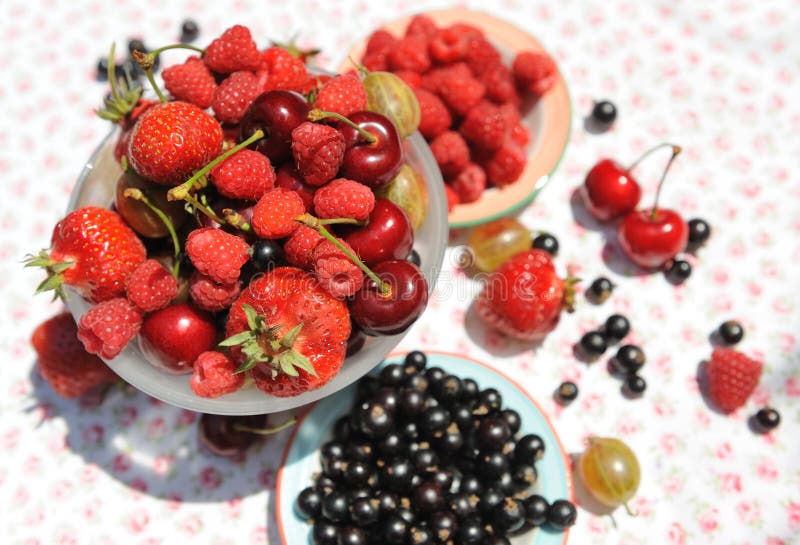 Summer berries. stock photo. Image of closeup, food, berry - 25680562