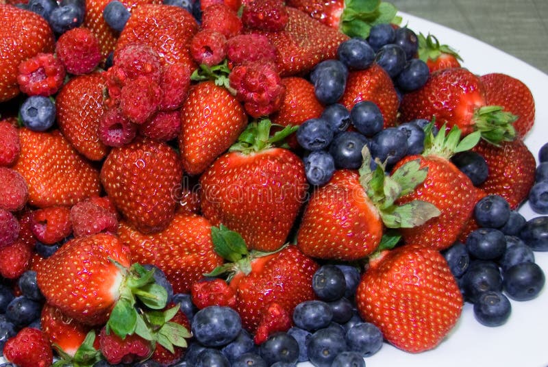 Summer Berries stock image. Image of season, seasonal - 3511041