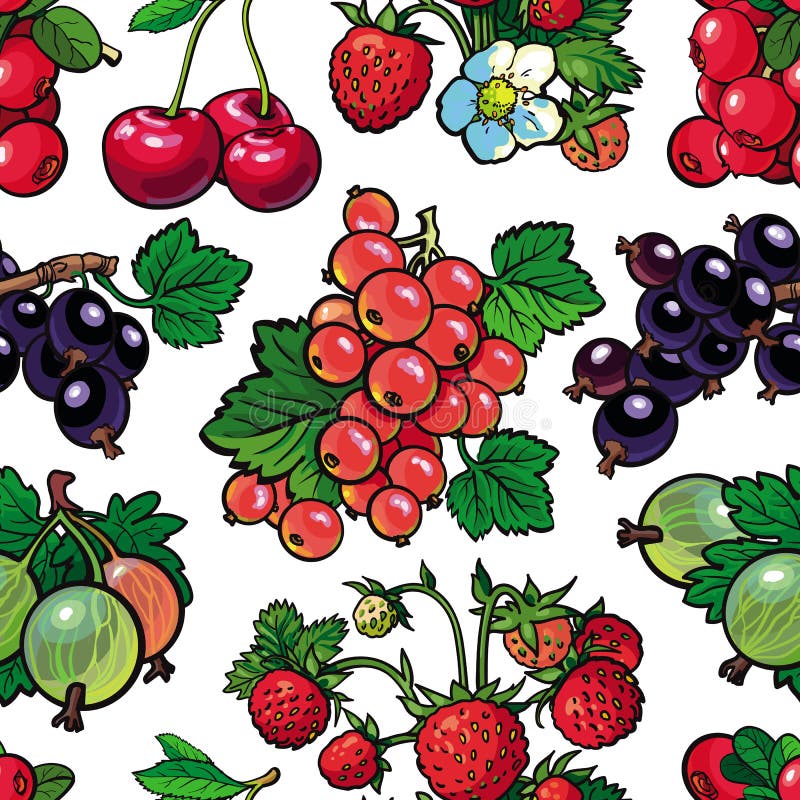 Summer Berries Seamless Pattern with Fresh Ripe Fruits and Green Leaves ... Summer Berries Seamless Pattern with Fresh Ripe Fruits and Green Leaves ...