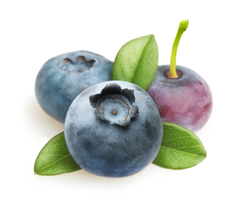 Summer berry fruit. stock image. Image of flavor, fruit - 99227669