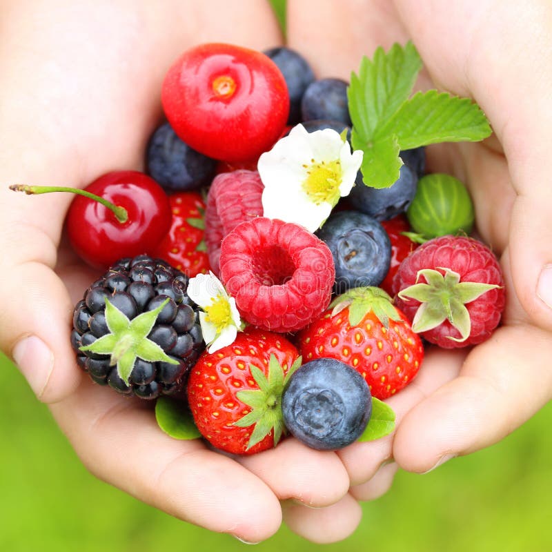 Summer berry fruits stock image. Image of raspberry, blackberry - 43157629