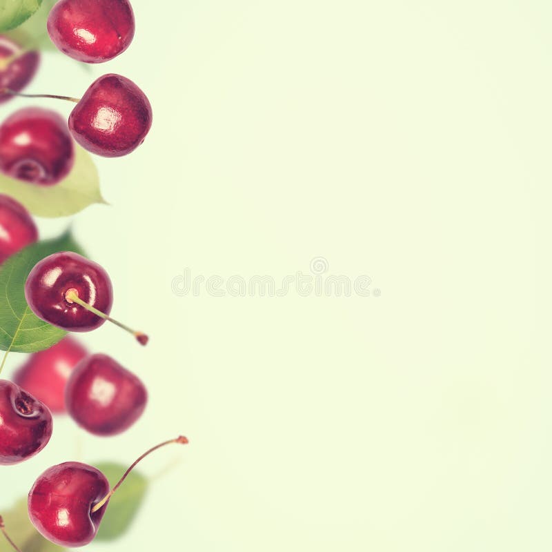 Summer Vertical Berry Background. Cherry Flies Border Stock Image ...