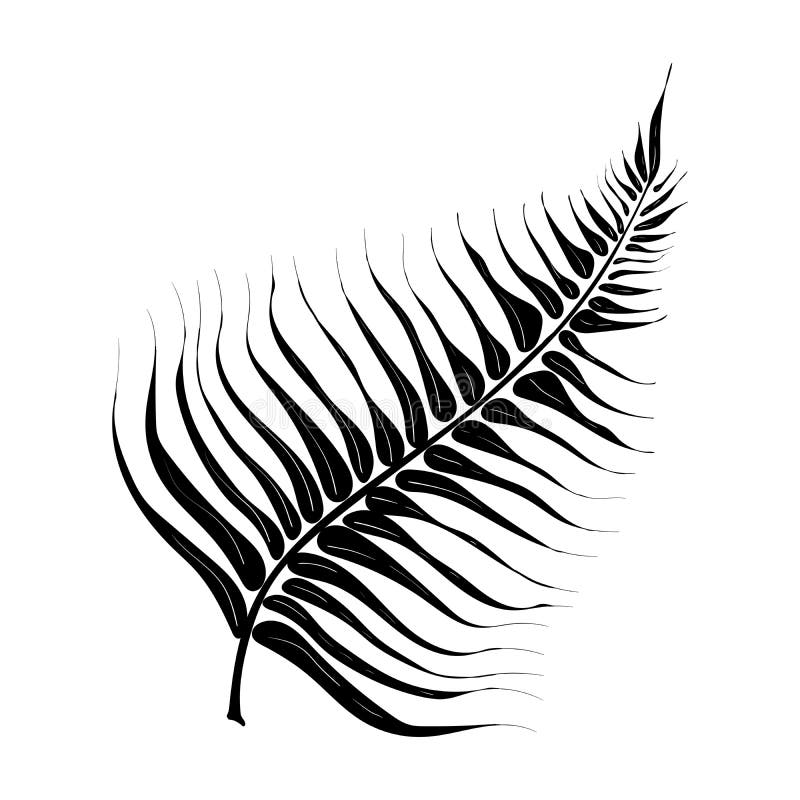 Summer Black Silhouette Of Tropical Leaves Palm And Tree Element