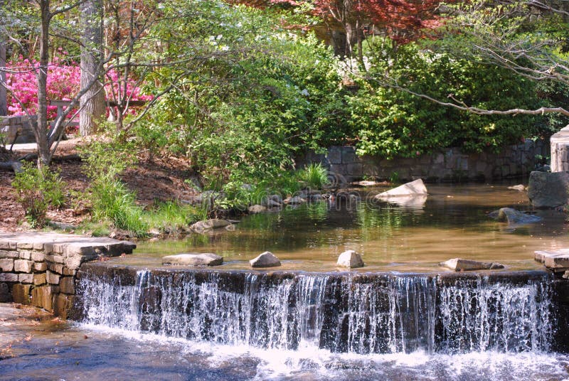 Summer in Georgia stock photo. Image of spring, landscape - 65997864