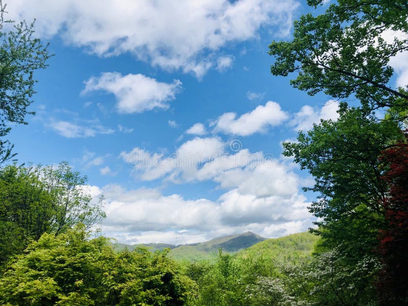 Summer in the Blue Ridge Mountains Stock Image - Image of ridge, times ...