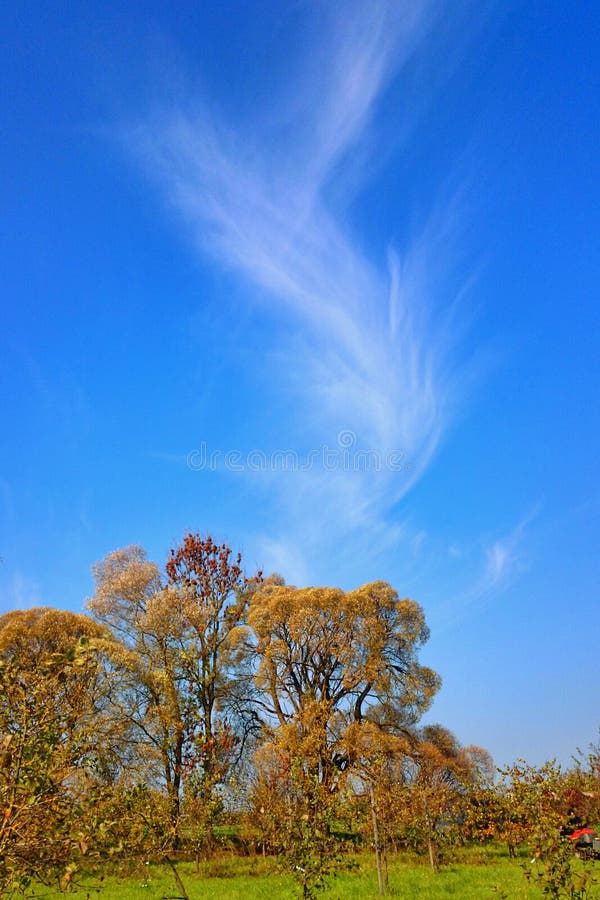 Summer Blue Trees Garden Apple Cloud Stock Image - Image of trees ...
