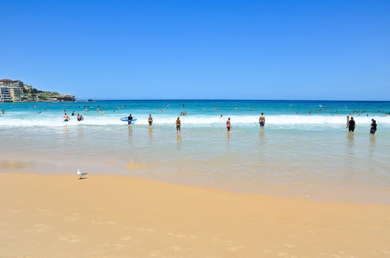 Summer at Bondi Beach editorial photo. Image of coast - 56950566