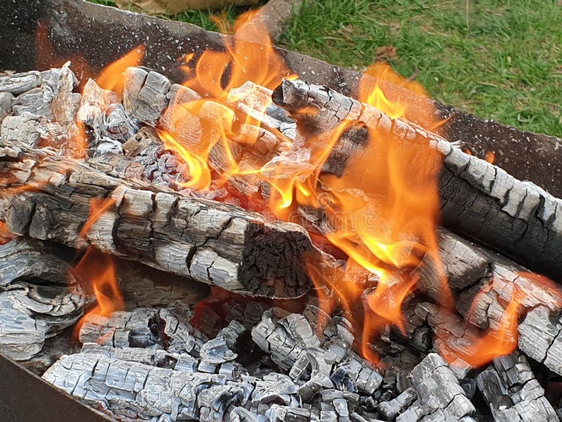 Summer bonfire, coals stock photo. Image of summer, fire - 183309772