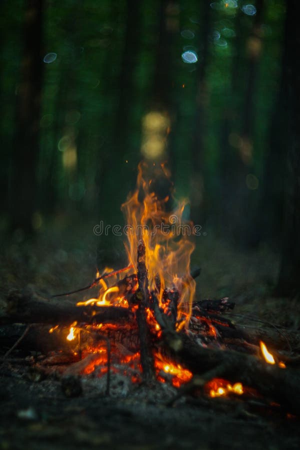 Summer bonfire stock image. Image of saving, german, peace - 50531261