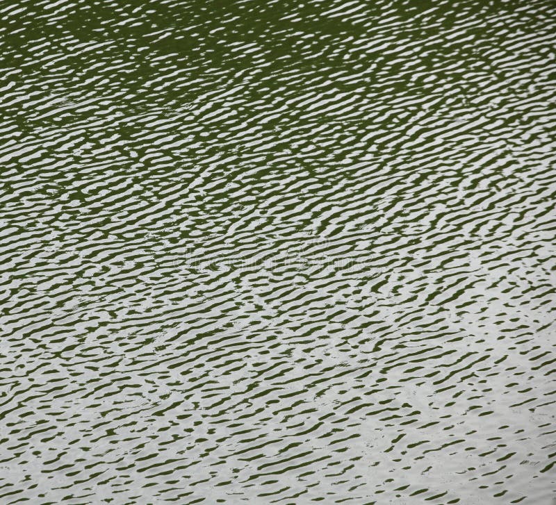 Rippled Texture on the Water Surface in the Breeze Stock Image - Image ...