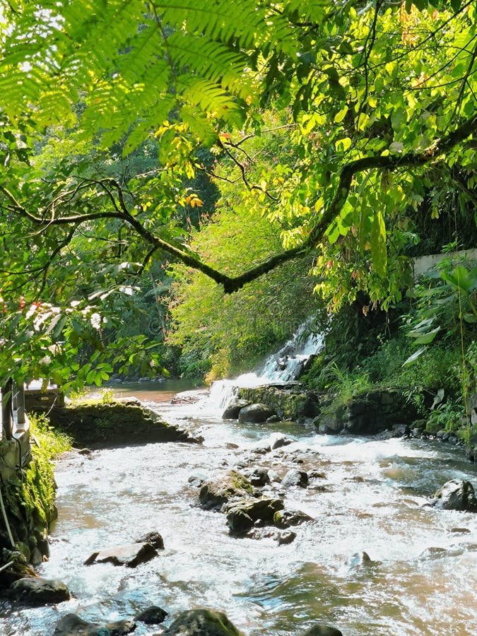 Summer Breeze in River with a Nature Vibes Stock Image - Image of ...