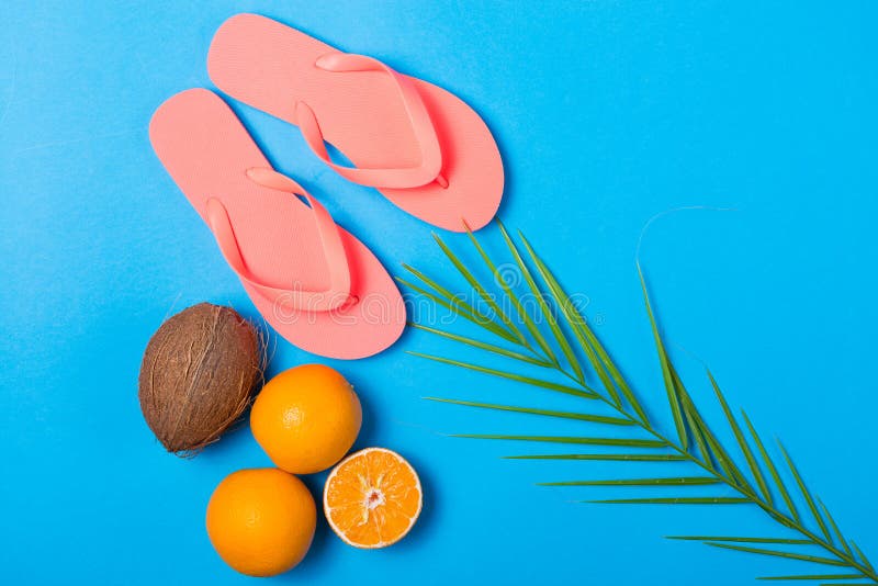 Summer bright background stock image. Image of leaf, coconut - 92072243