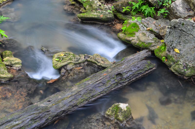 Summer brook stock image. Image of deciduous, beautiful - 25603157