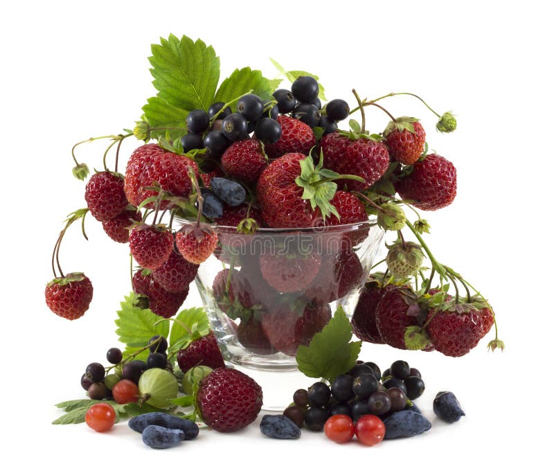 Summer bunch 4 stock photo. Image of cherry, close, natural - 42380016