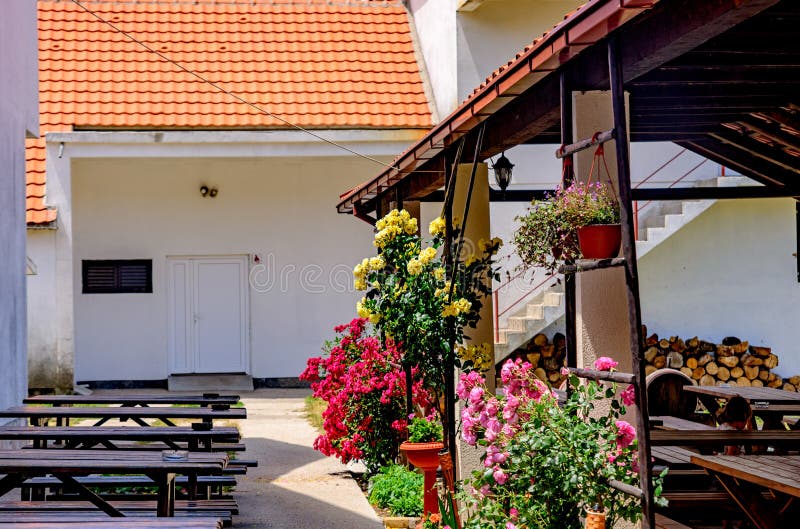 Summer Cafe in the Countryside Stock Image - Image of cafe, resort ...