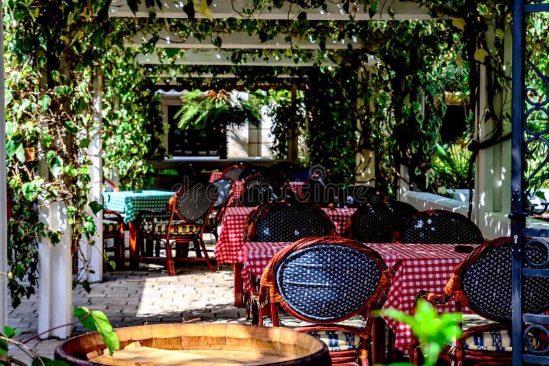 Summer Cafe in the Shade of Trees Stock Image - Image of outdoor ...