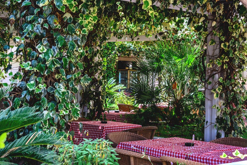 Summer Cafe in the Shade of Trees Stock Photo - Image of resort, cool ...