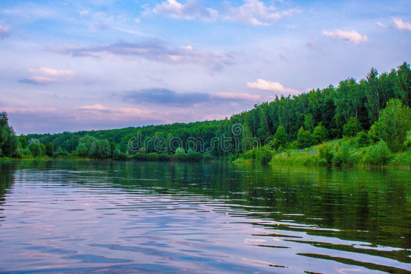 Summer calm forest lake stock photo. Image of banks - 209213402